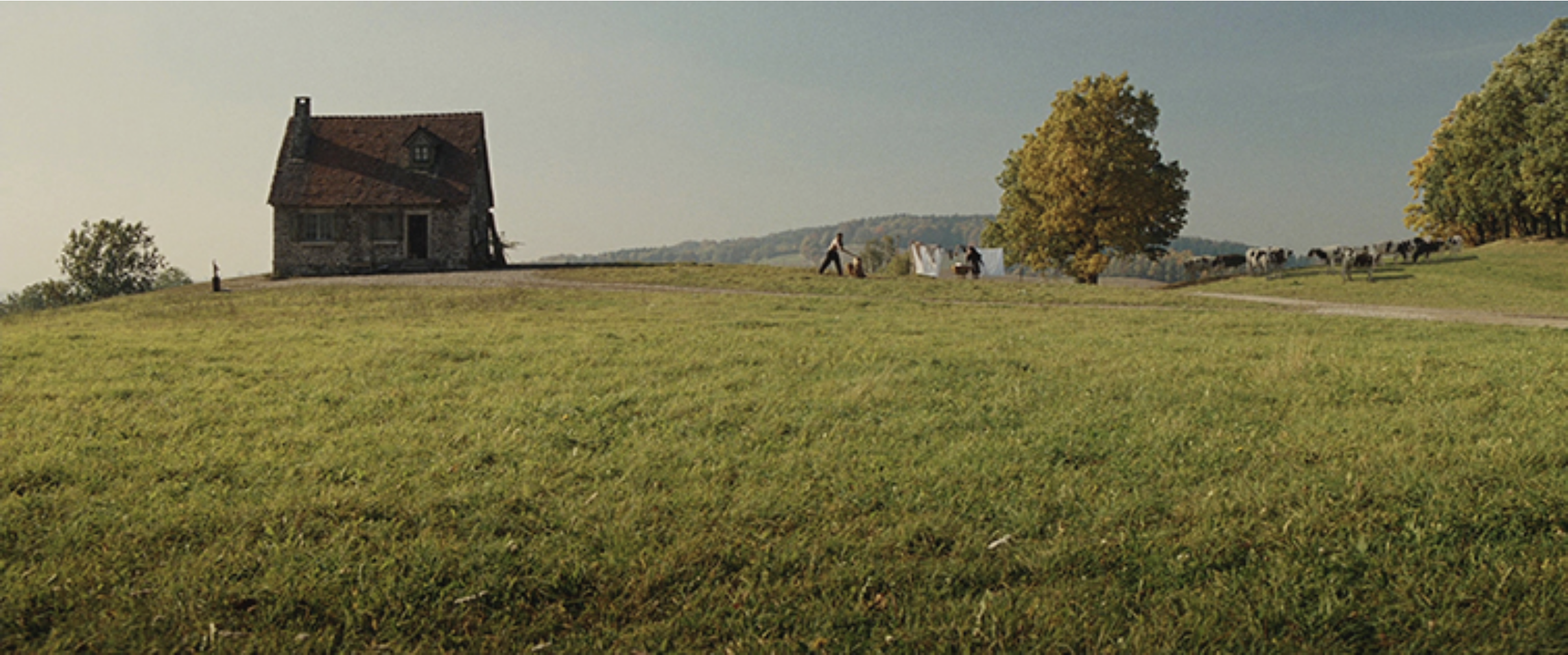 7 Basic Shot Types – Digital Cinematography