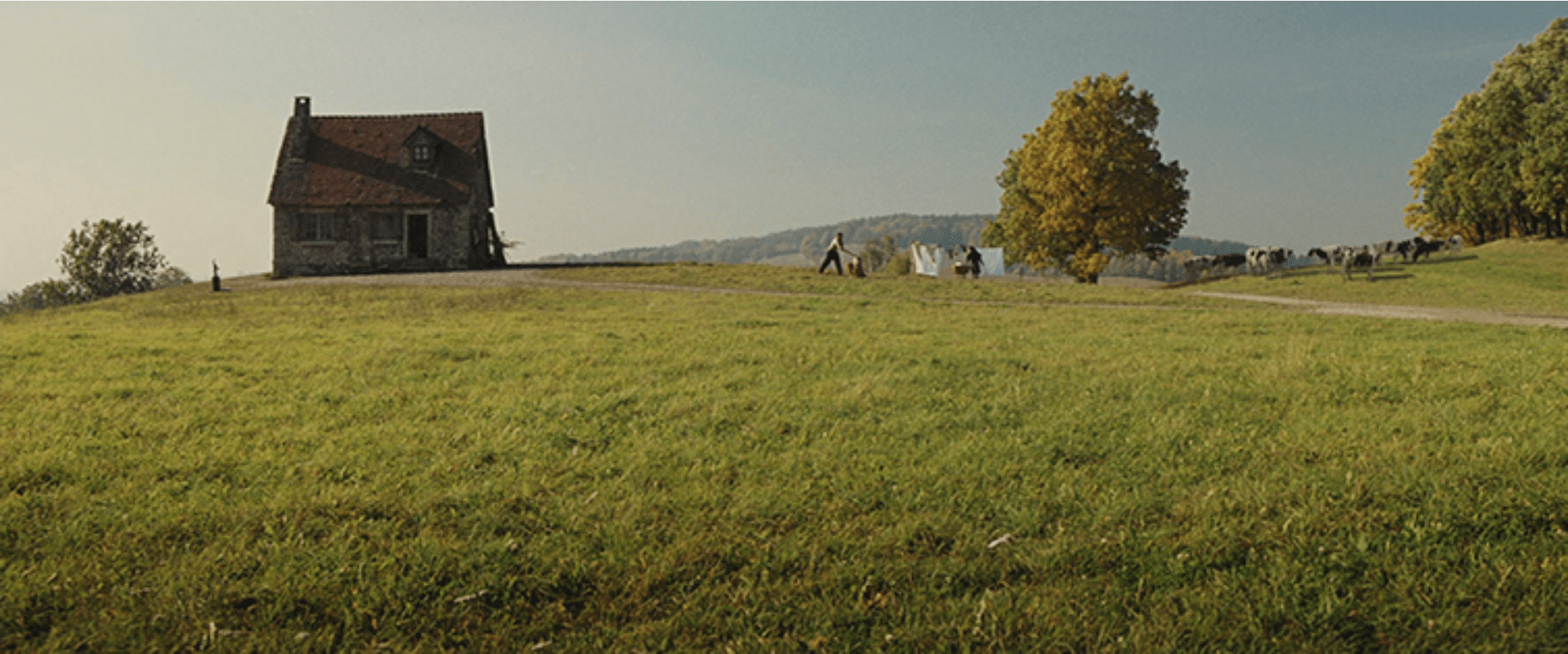 7 Basic Shot Types – Digital Cinematography