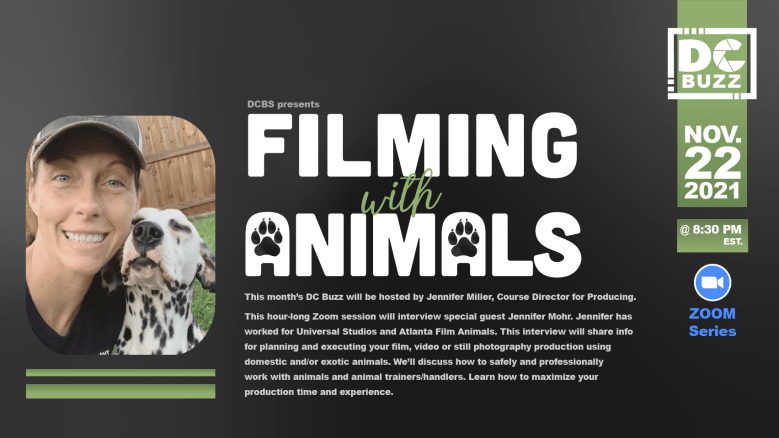 DC Buzz Nov. Zoom Series: – Digital Cinematography